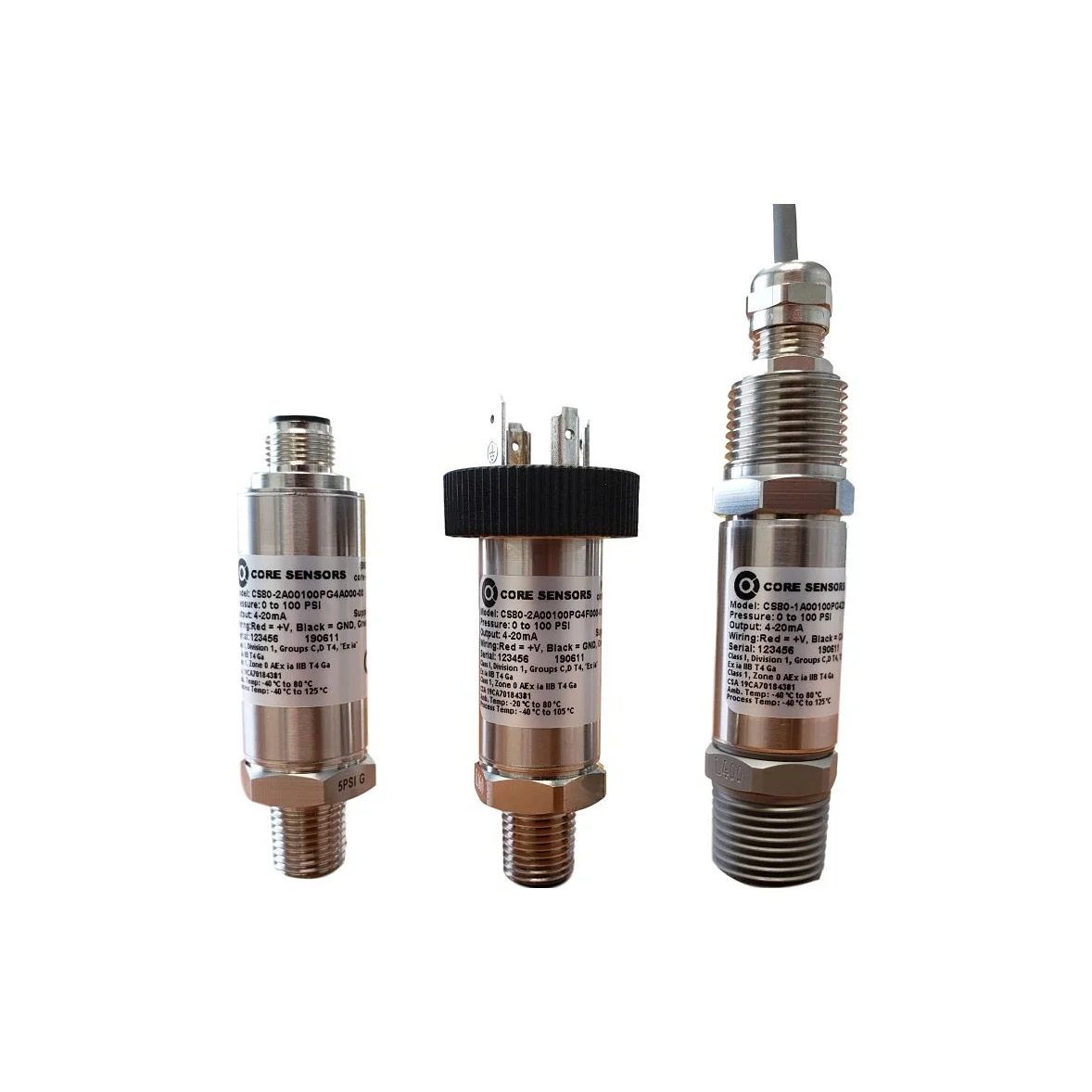 خرید Core Sensors CS81 Intrinsically Safe Low Pressure Transducer